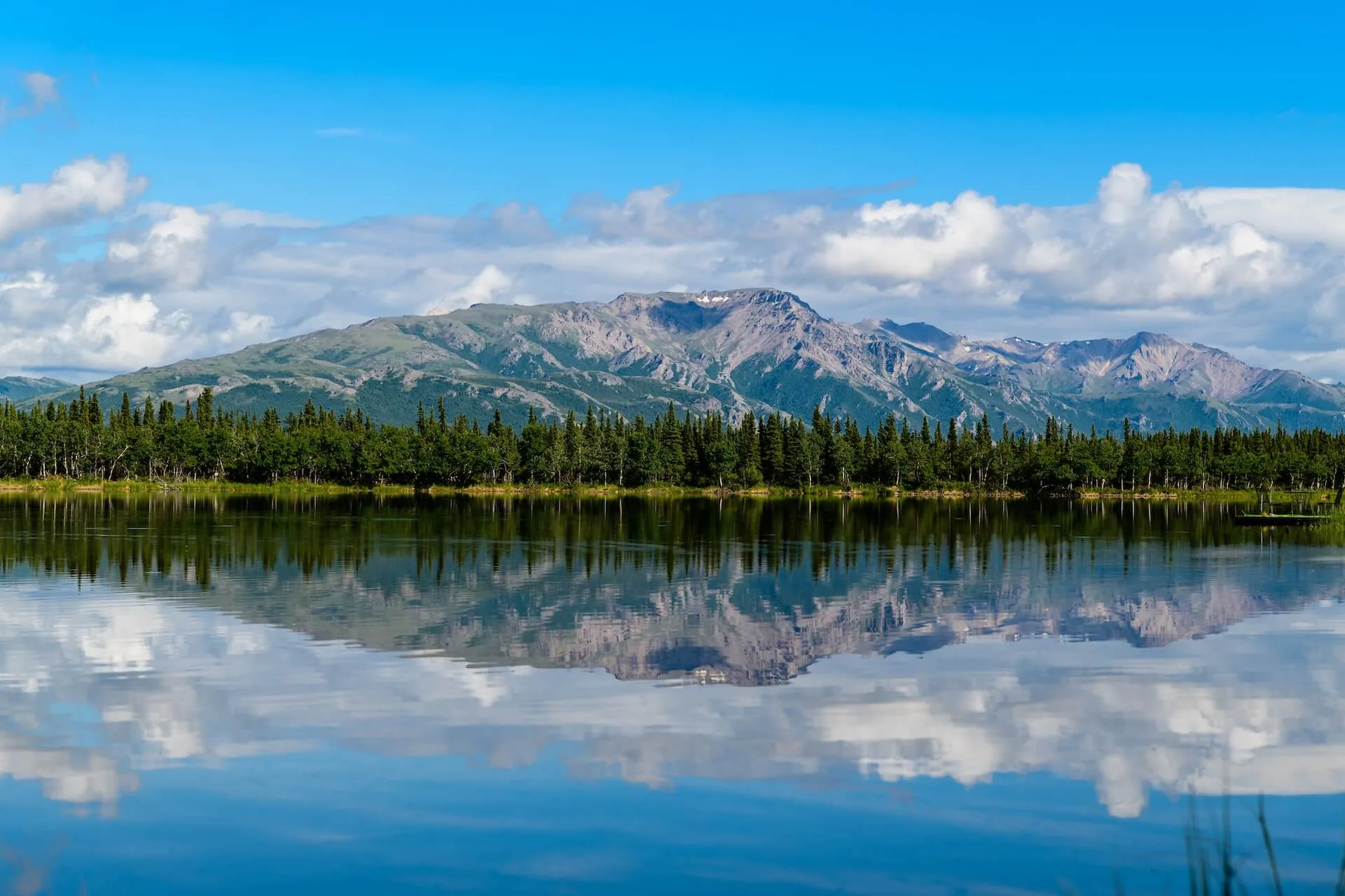 Alaska Cruise Travel Agent — Land & Sea Packages · Stacey Vacations